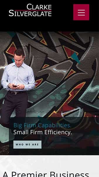 Miami, Florida Law Firm Web Design | Clarke Silverglate, P.A.